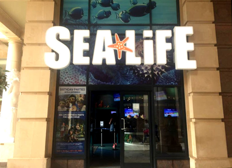 SEA LIFE | Places to go | Pelican Manchester